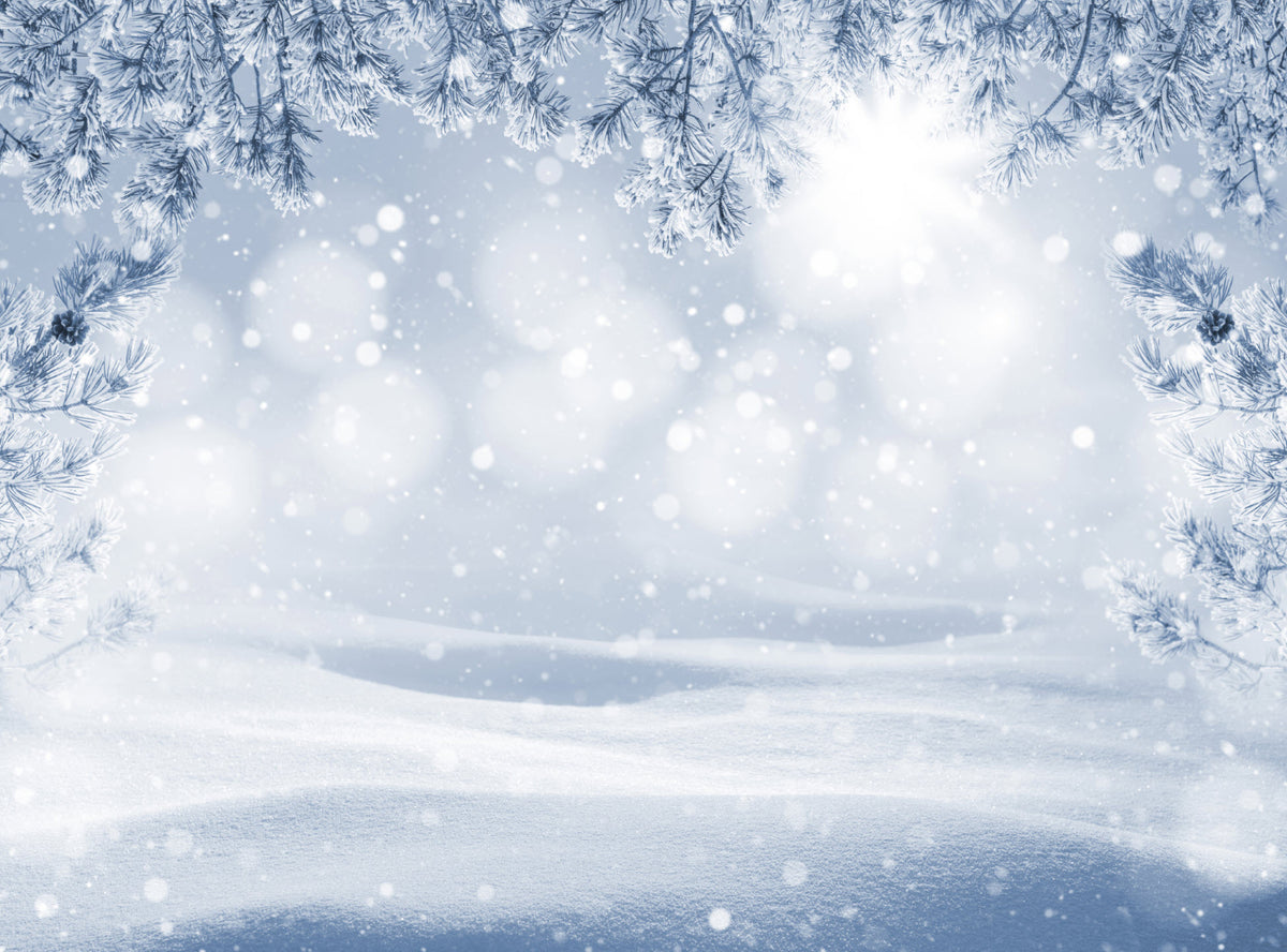Winter Snow Backdrop | Dropz Backdrops | Dropz Backdrops Australia