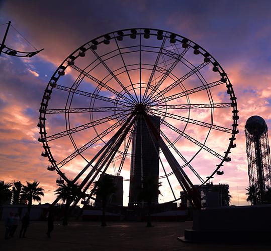 Coachella Festival Background | Dropz Backdrops | Dropz Backdrops Australia