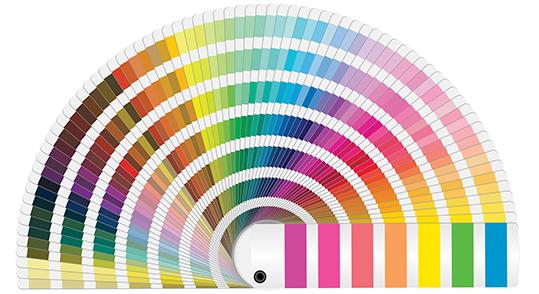 Coloured Photo Backdrop | Dropz Backdrops | Dropz Backdrops Australia