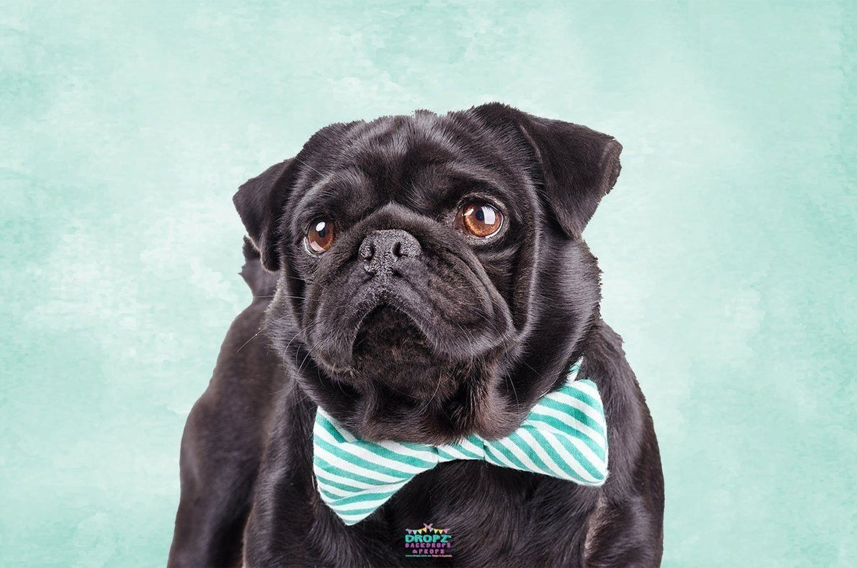 Vinyl Photography Backdrop | Dropz Backdrops | Dropz Backdrops Australia